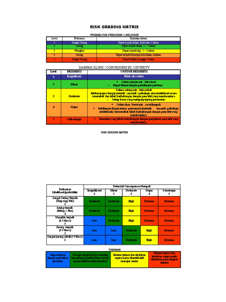 08e.form Studi Kasus I - RISK GRADING MATRIX | PDF