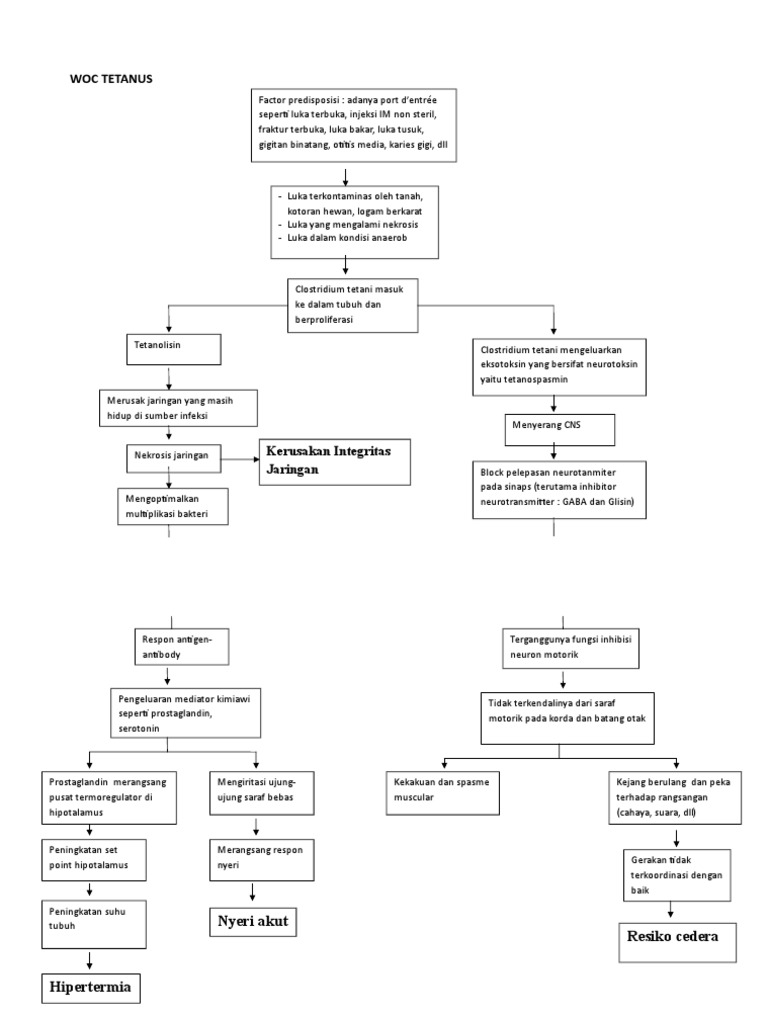 Patofisiologi Tetanus | PDF