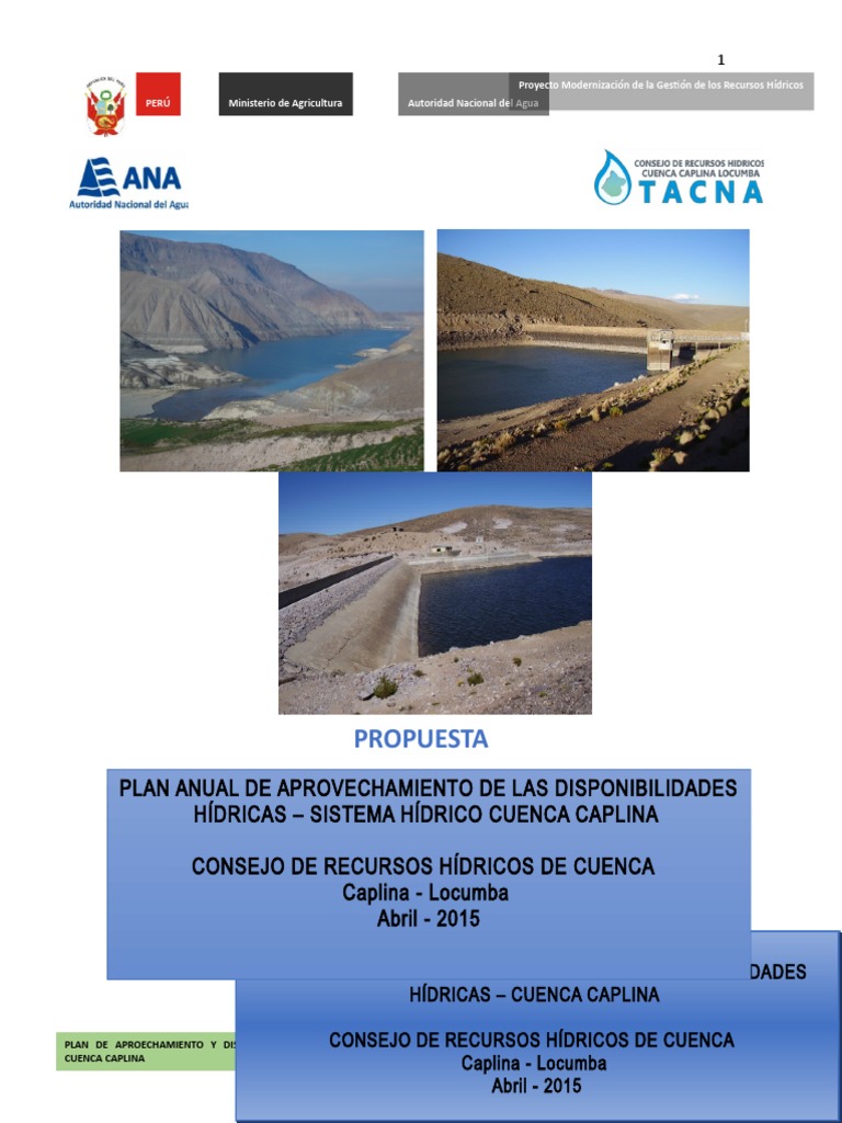 Plan Hídrico Cuenca Caplina 2015 | PDF | Riego | Recursos hídricos