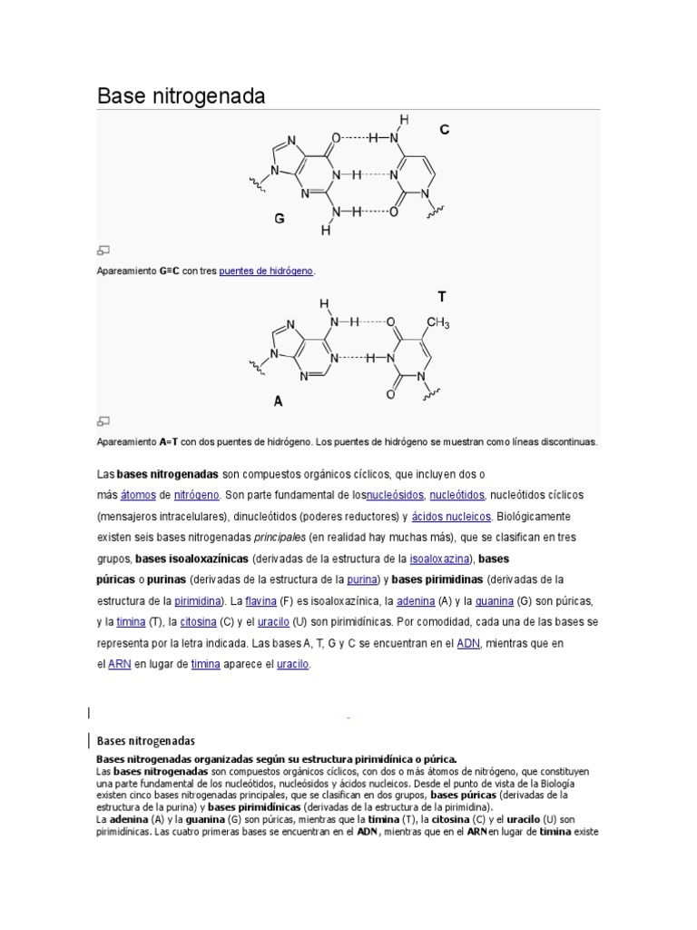 Base Nitrogenada | PDF | Química Orgánica | Química