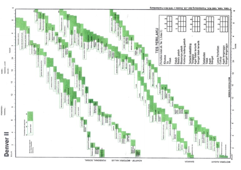 Form Denver II | PDF