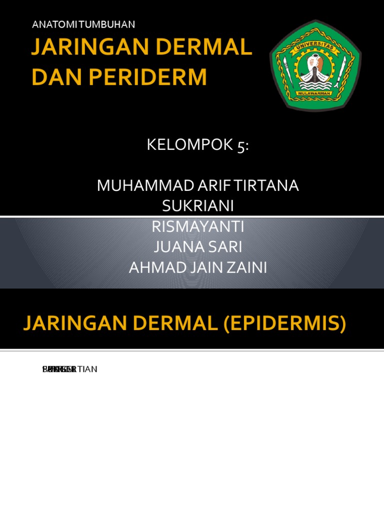 Jaringan Dermal dan Periderm Tumbuhan | PDF | Kesehatan Holistik