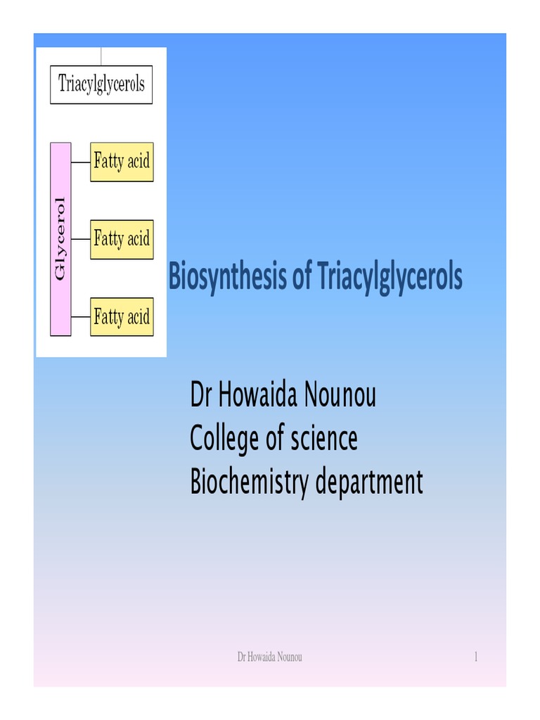Triacylglycerol synthesis.pdf | Triglyceride | Biosynthesis