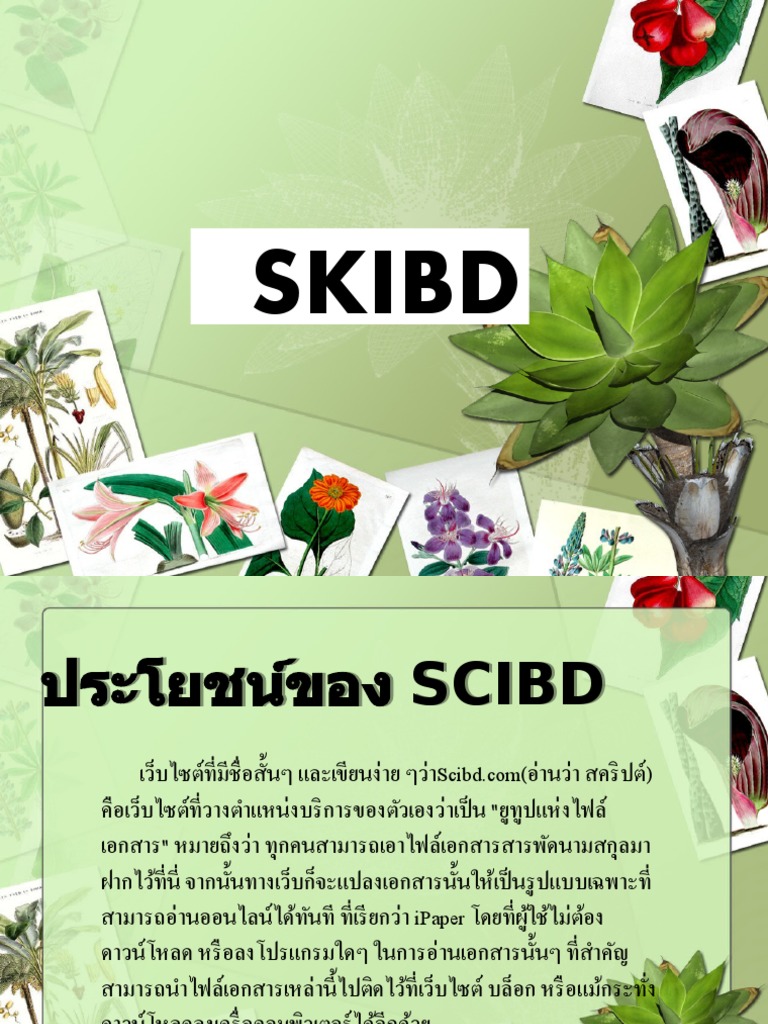SKIBD | PDF