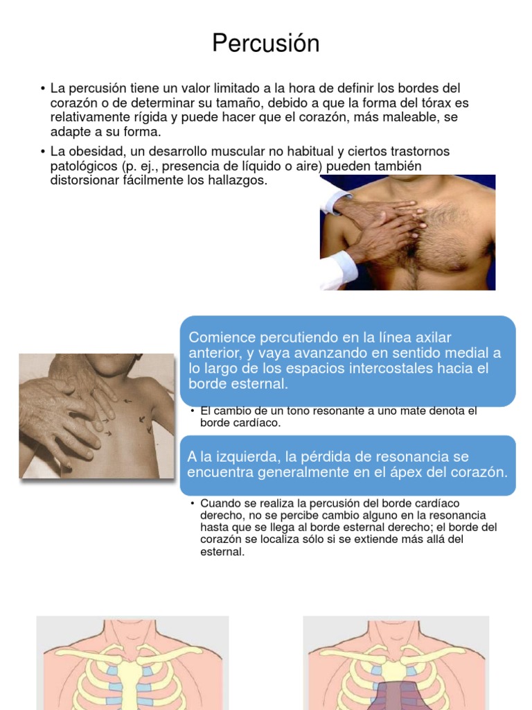 Técnicas de Percusión y Auscultación Cardíaca | PDF | Órgano (anatomía ...