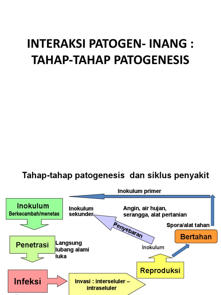 Patogenesis Dan Respon Tanaman | PDF