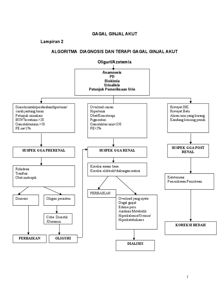Algoritma Tatalaksana Gagal Ginjal Akut | PDF