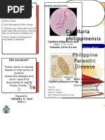 Capillaria philippinensis Overview and Impact | PDF | Immunology | Parasitology