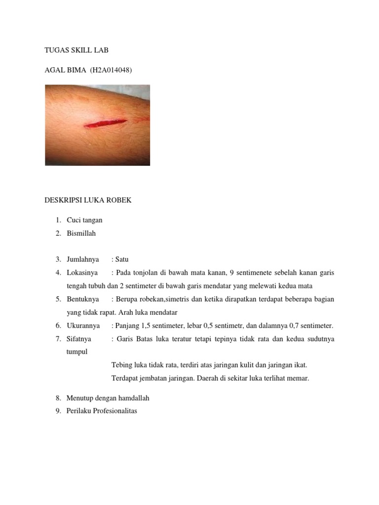 Deskripsi Luka | PDF