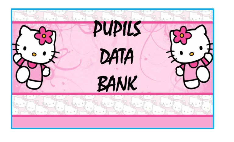 Pupils Data Bank Overview | PDF