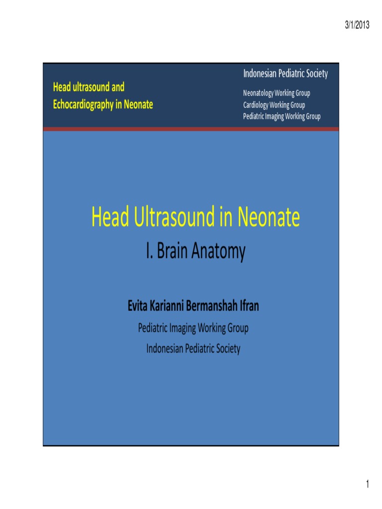 Anatomy of the Neonatal Brain: A Guide for Understanding Head ...