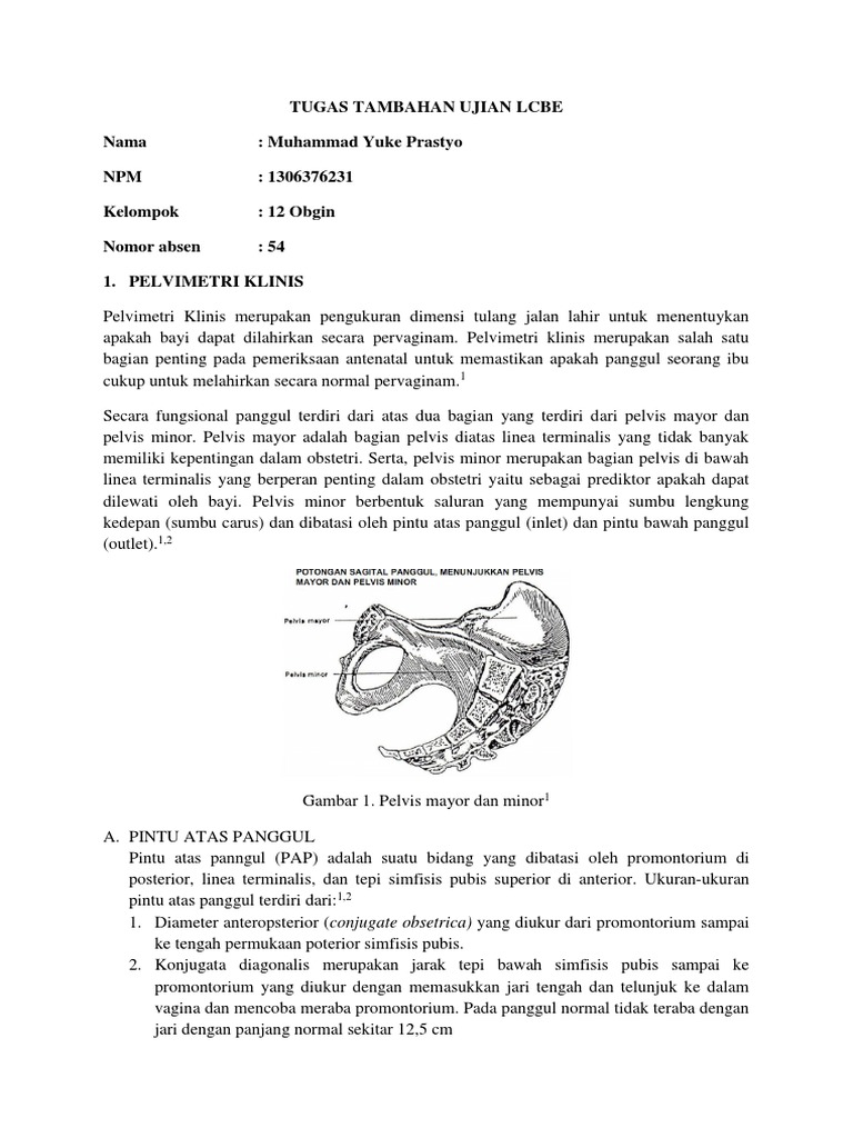Pelvimetri Klinis | PDF
