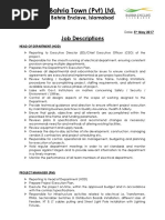 Project in Charge - Job Description | PDF