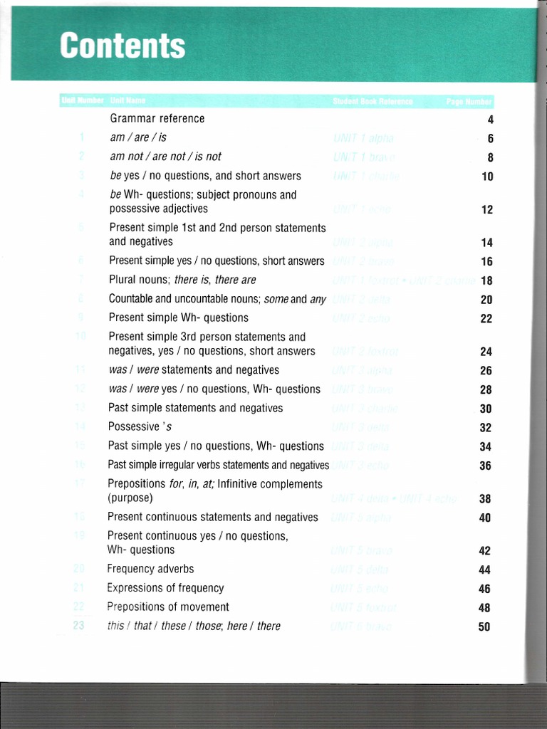 Grammar Practice | PDF