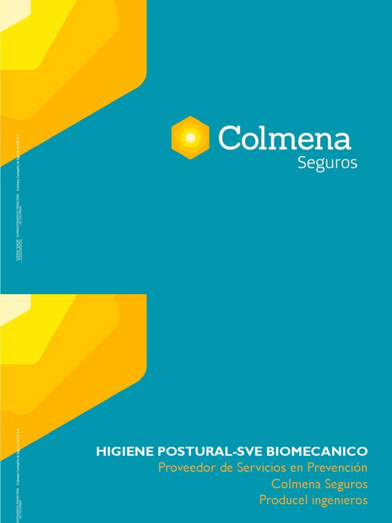 Presentacion Higiene Postural Colmena Arl (2) Nuevo | PDF | Músculo | Sistema musculoesquelético