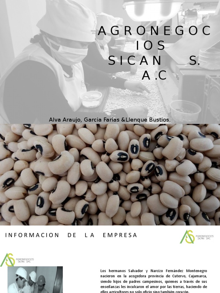 Sican Diapositivas | PDF | Calidad (comercial) | Salario