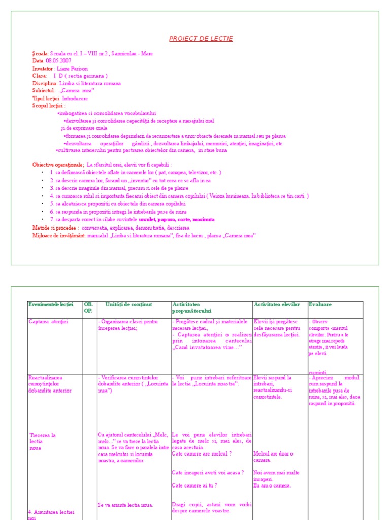 Proiect de Lectie Camera Mea | PDF