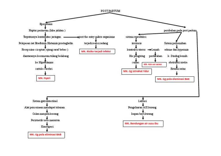 Pathway Episiotomi | PDF
