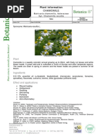 BASF Sunscreen Simulator Overview | PDF | Sunscreen | Ultraviolet