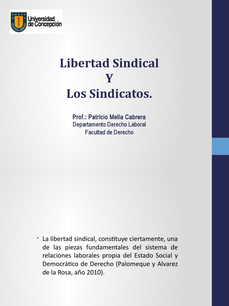 Libertad Sindical | PDF | Sindicato | Derecho laboral