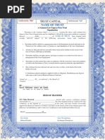 UBO Form PDF | PDF | Trust Law | Ownership