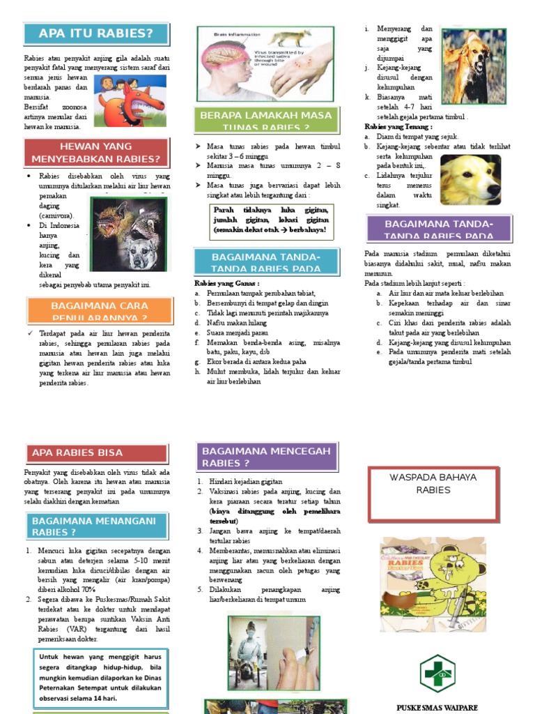 Leaflet Rabies | PDF