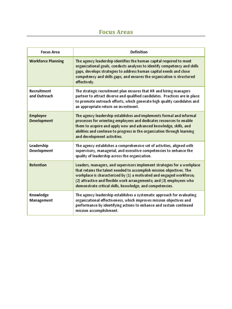 Talent Management Focus Areas PDF | PDF