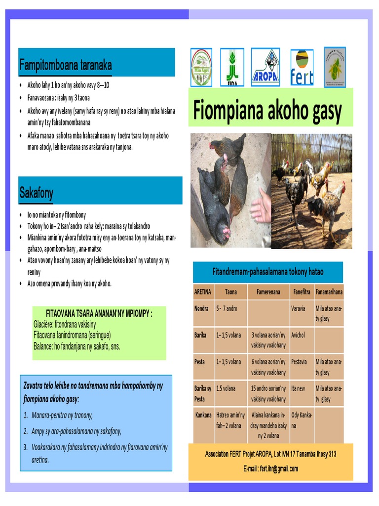 Fampitomboana taranaka akoho gasy | PDF