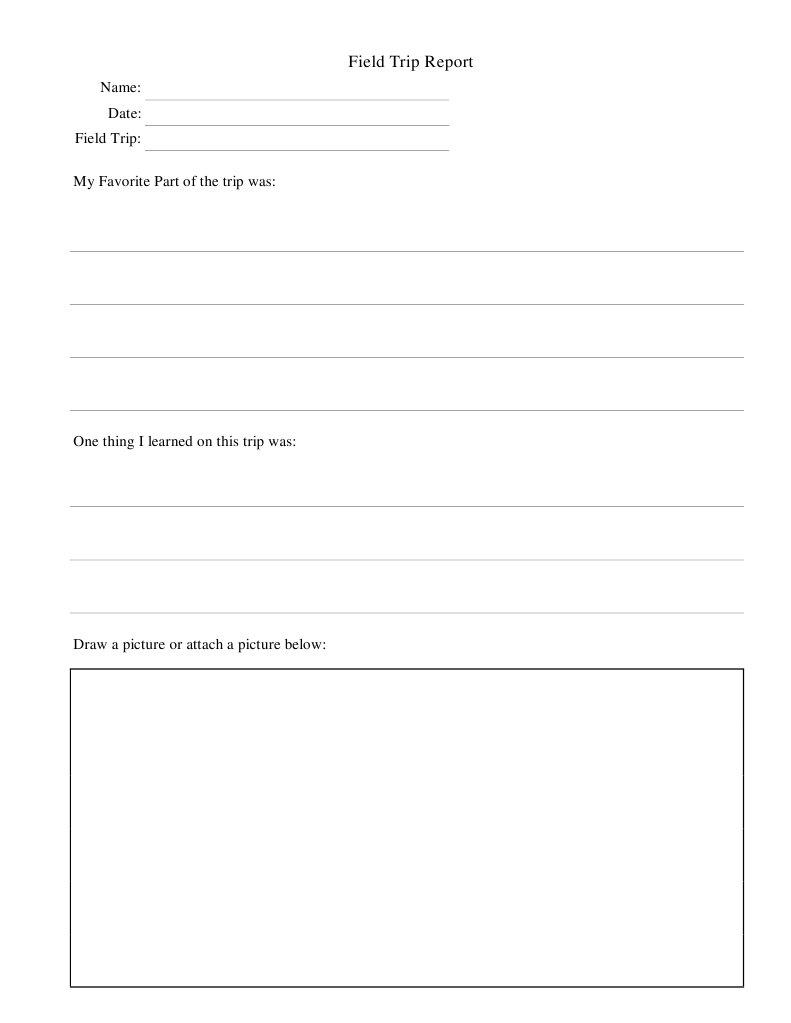 Field Trip Report Summary | PDF