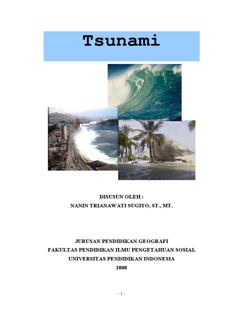 Tsunami | PDF