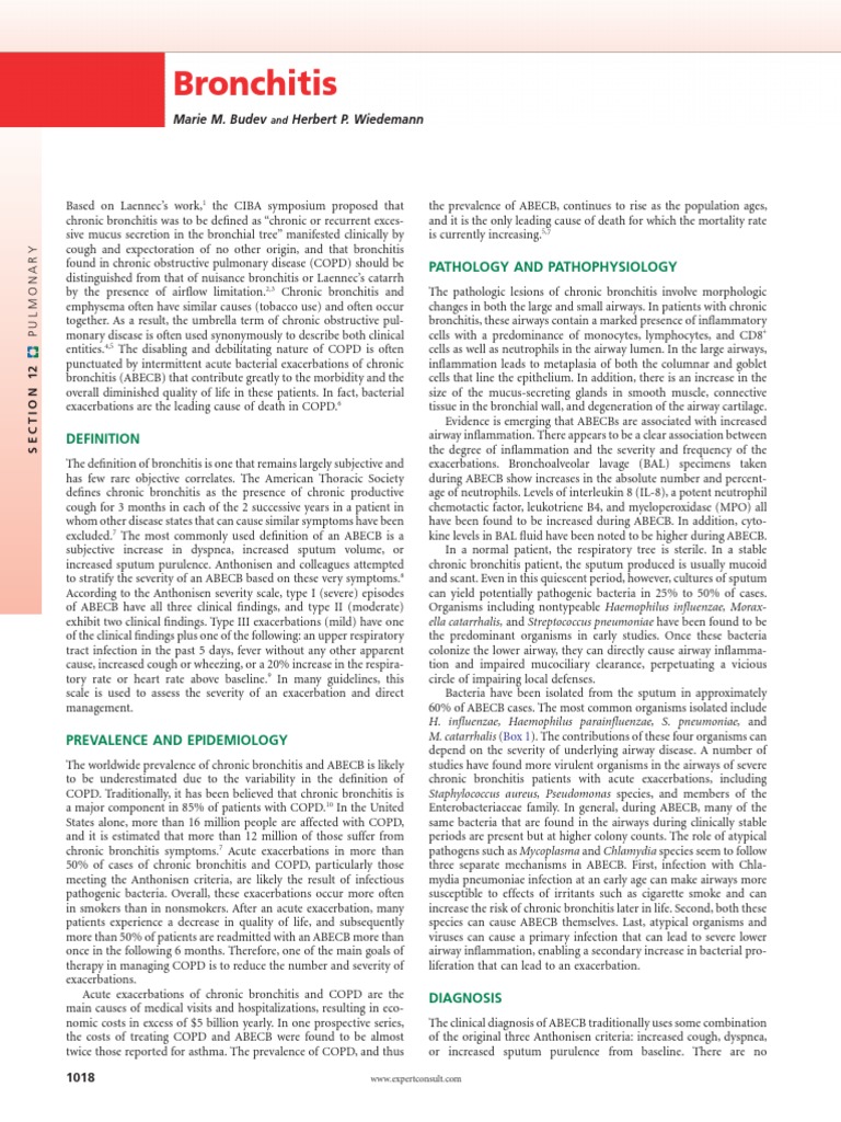 Bronchitis: Pathology and Pathophysiology | PDF | Bronchitis | Pneumonia