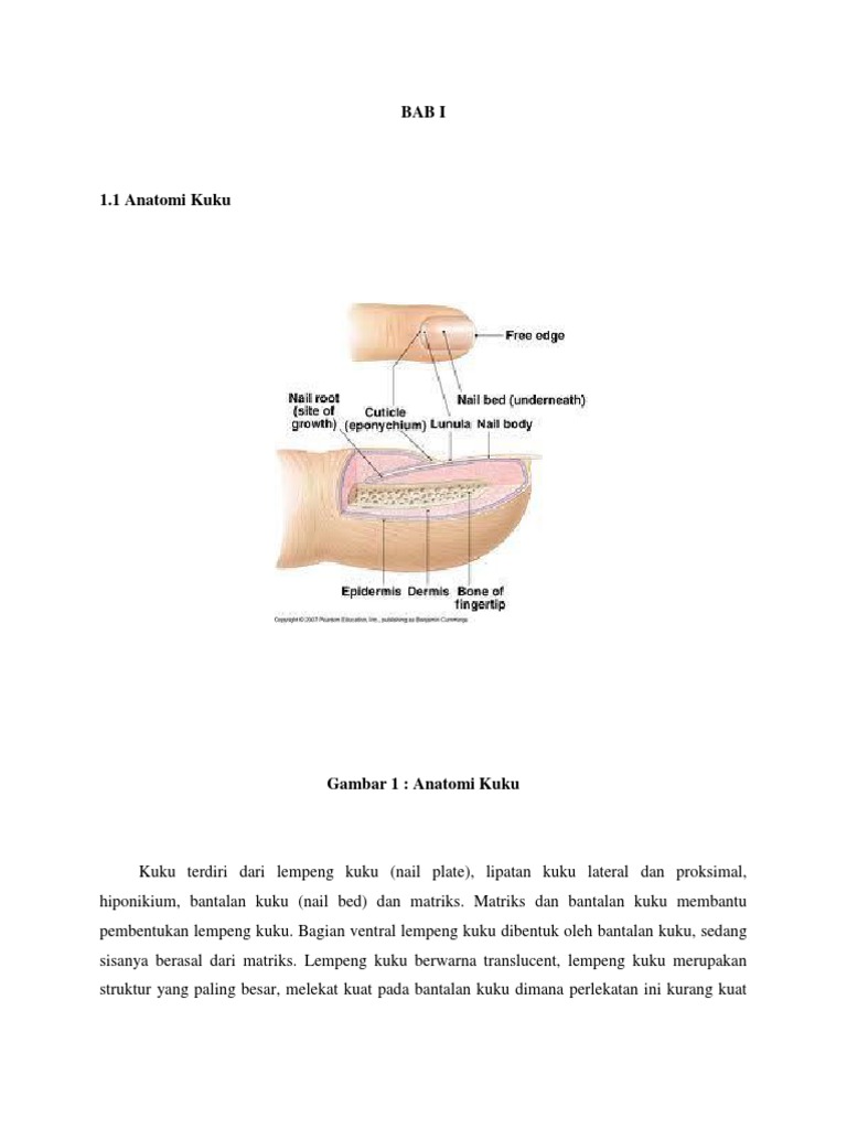 Makalah Rozerplasty Sebelum Revisi | PDF