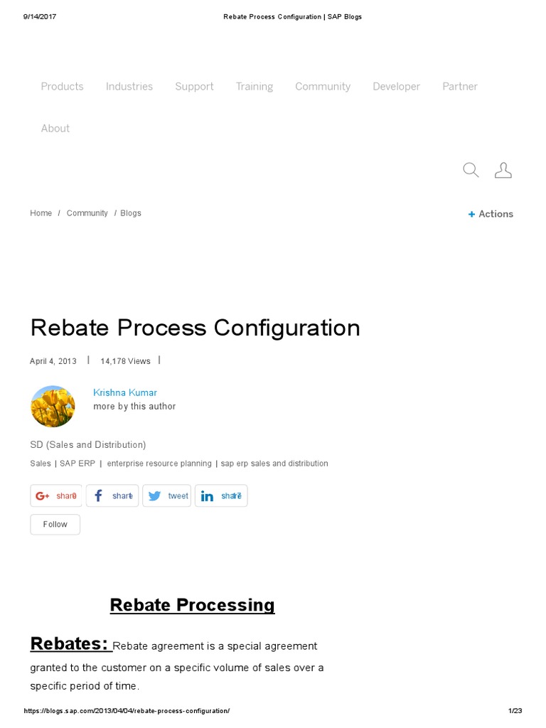 Rebate Process Configuration - SAP Blogs | PDF | Rebate (Marketing ...