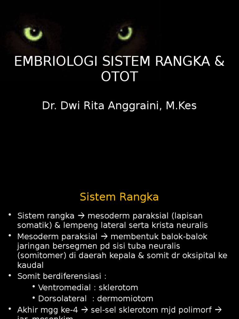 1 - Embriologi Rangka & Otot | PDF | Otot | Anatomi Manusia