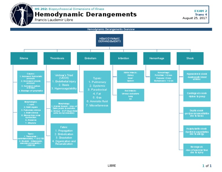04 SST Hemodynamic Derangements | PDF | Shock (Circulatory) | Embolism