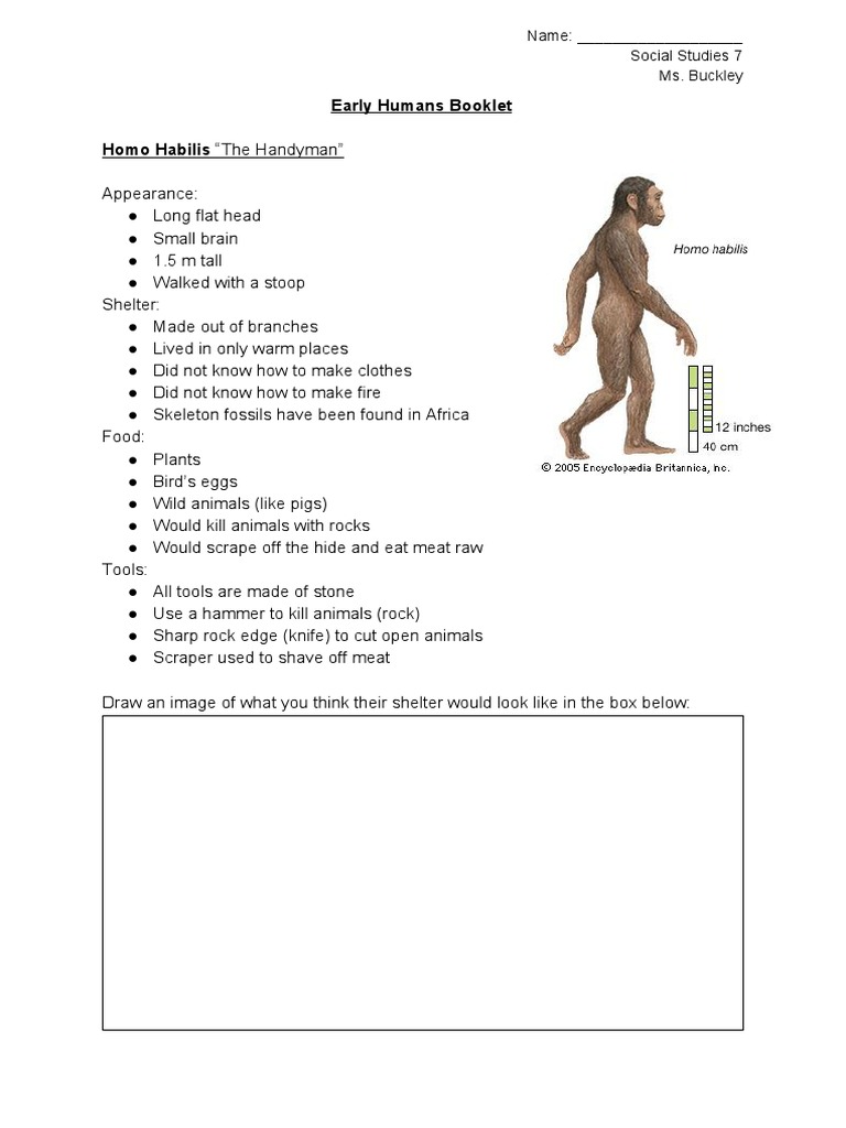 Early Humans Booklet | PDF | Paleolithic | Nature