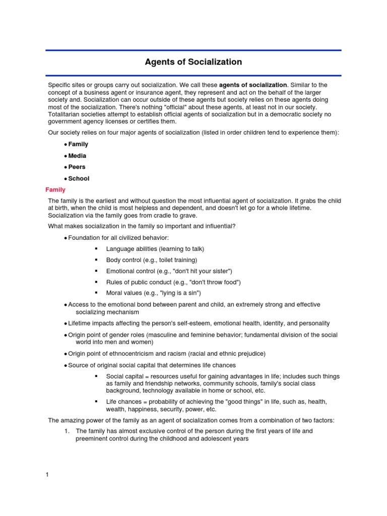 Agents Socialization Pdf Socialization Social Group