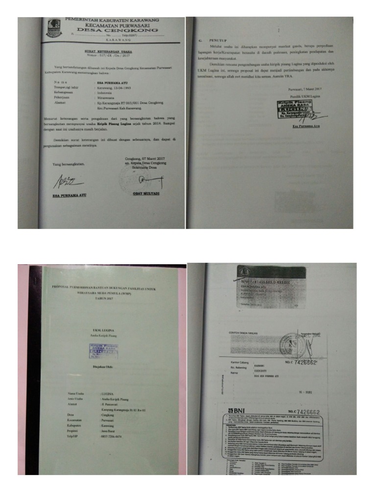 Contoh Proposal Usaha Kecil Dan Menegah UKM | PDF