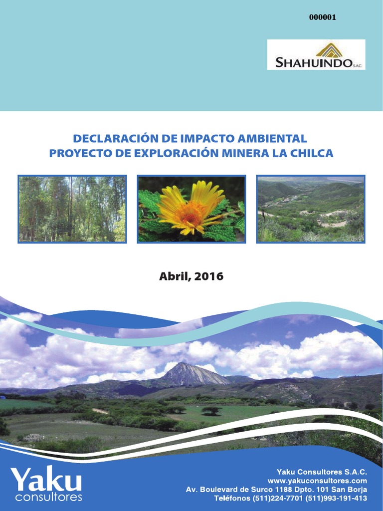 Declaración de Impacto Ambiental La Chilca | PDF | Minería | Regulación