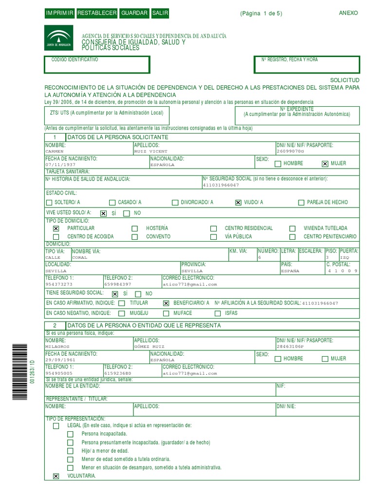 Modelo Solicitud Evaluacion Dependencia 18-11-14-2 | PDF | Trabajo Social | Gobierno