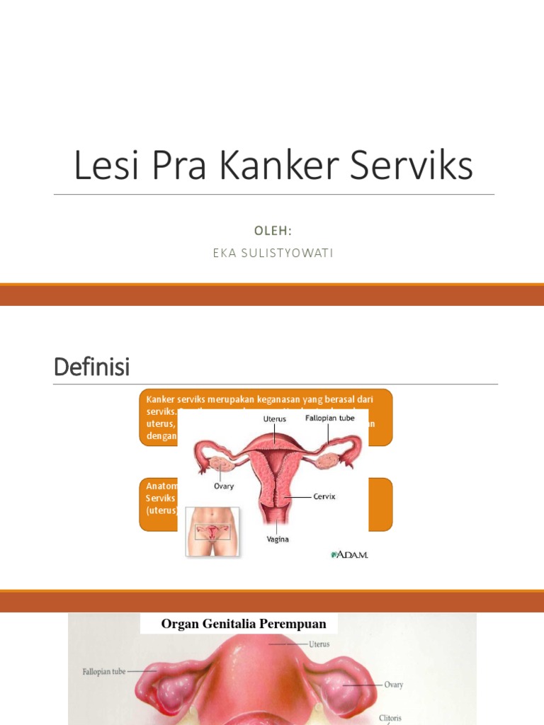 Lesi Pra Kanker Serviks | PDF