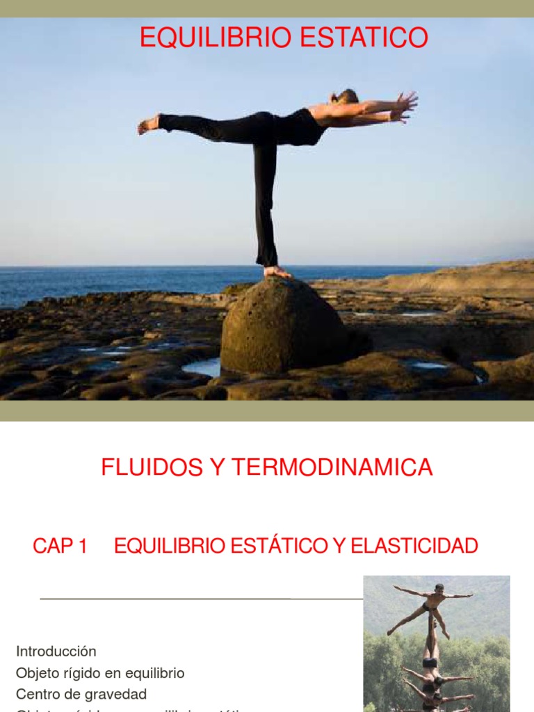 Cap 1 Equilibrio Estatico-4 | PDF | Elasticidad (Física) | El módulo de ...