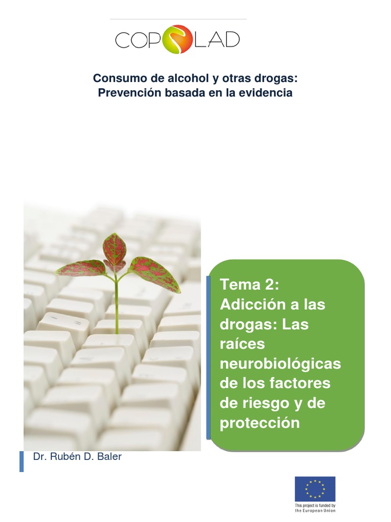 Tema 2 - Adiccion A Las Drogas | PDF | Drogas | Multilingüismo