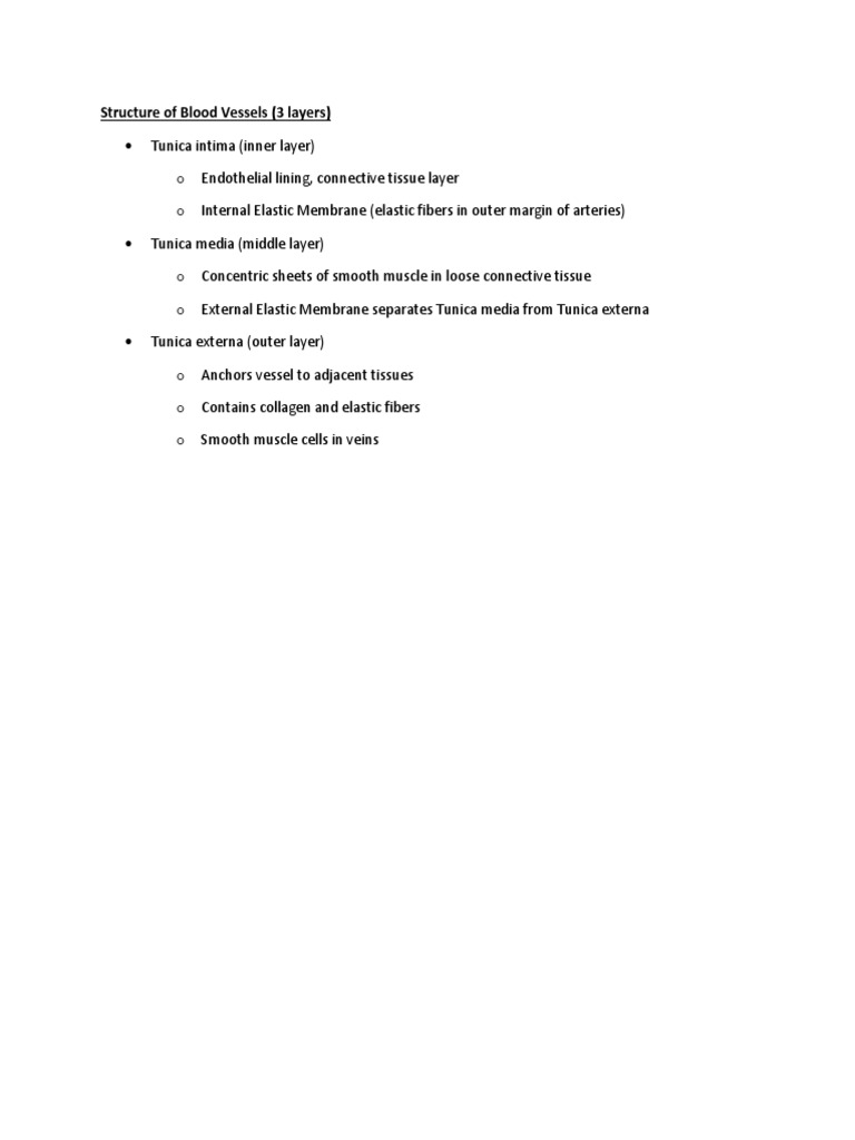 3 Layers of Blood Vessel Structure: Tunica Intima, Media, Externa | PDF