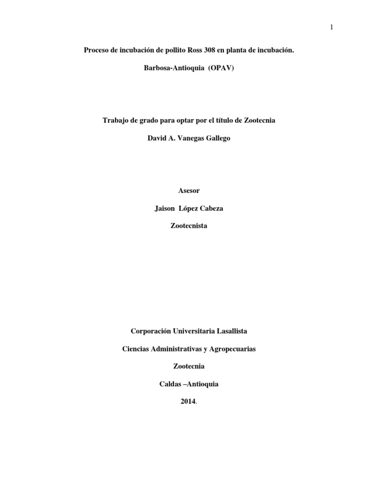 Incubacion Pollito Ross 308 | PDF | Unidad de cuidado intensivo ...