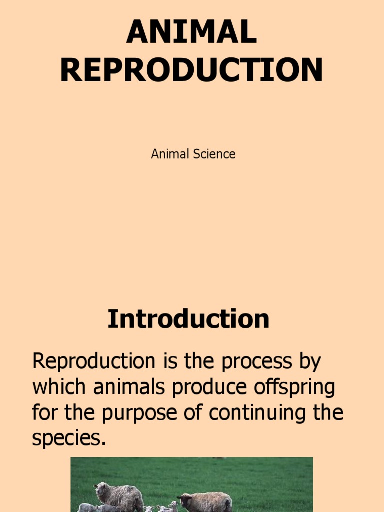 Overview of Animal Reproductive Systems | PDF | Reproductive System ...