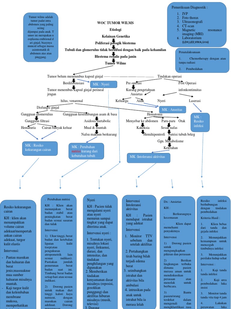 Woc Tumor Wilms | PDF