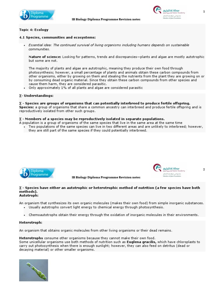 IB Biology Chapter 4 Ecology Revision Notes | PDF | Greenhouse Effect ...