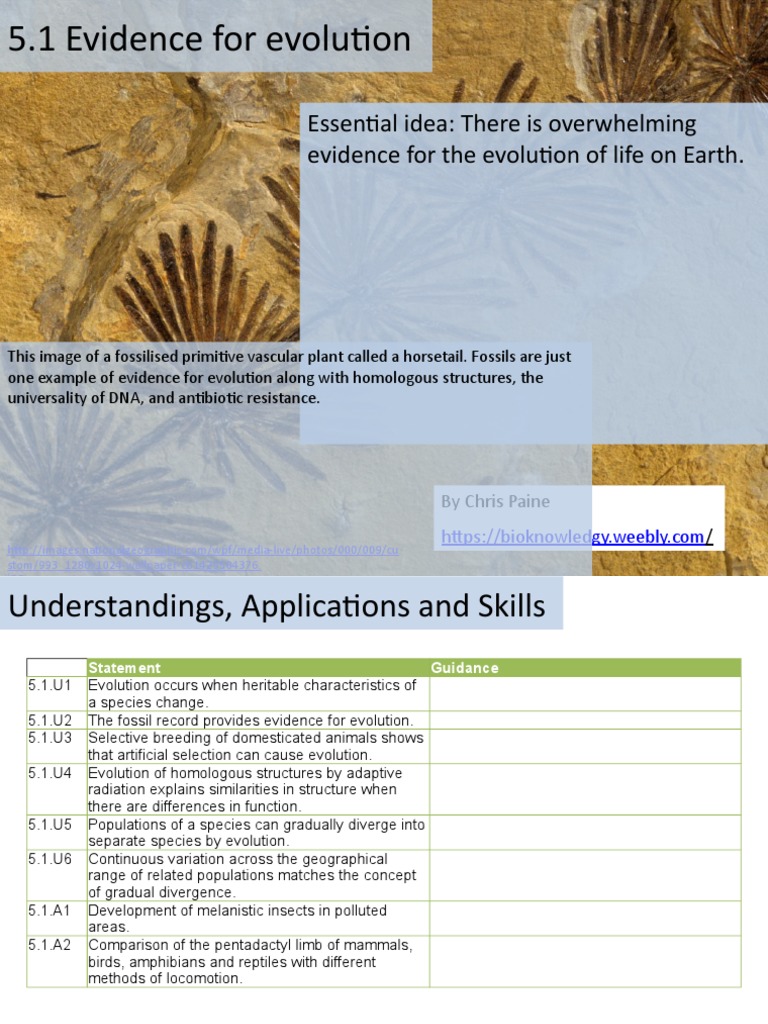 Evidence of Evolution Explained | PDF | Homology (Biology) | Evolution