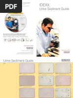 Urine Sediment Atlas: Key Points | PDF | Medical Specialties | Clinical ...